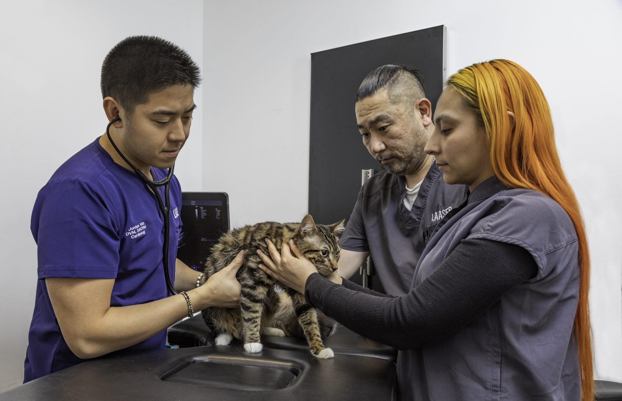 Cardiology - Los Angeles Animal Specialty Emergency & Rehabilitation