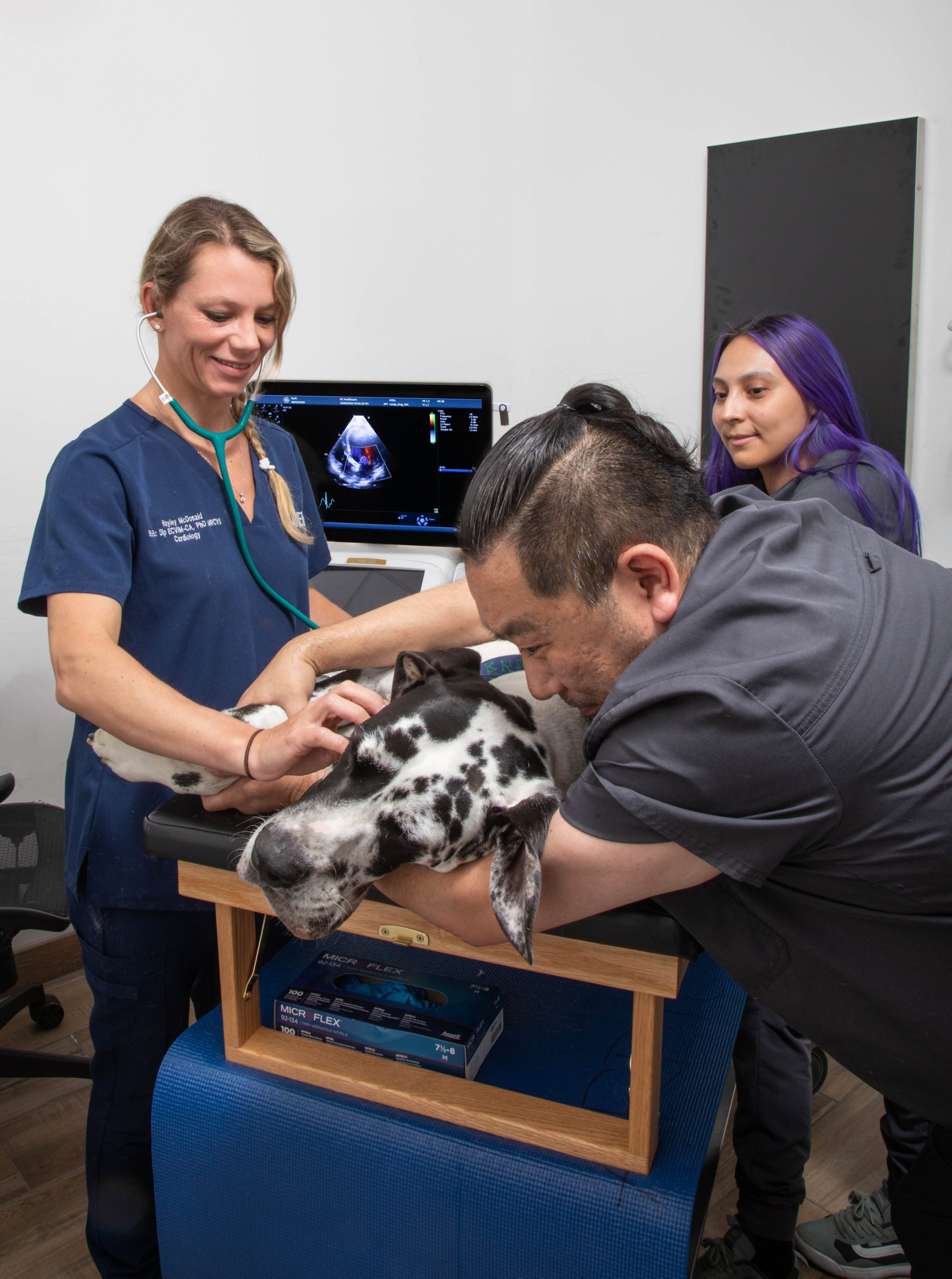 Cardiology - Los Angeles Animal Specialty Emergency & Rehabilitation
